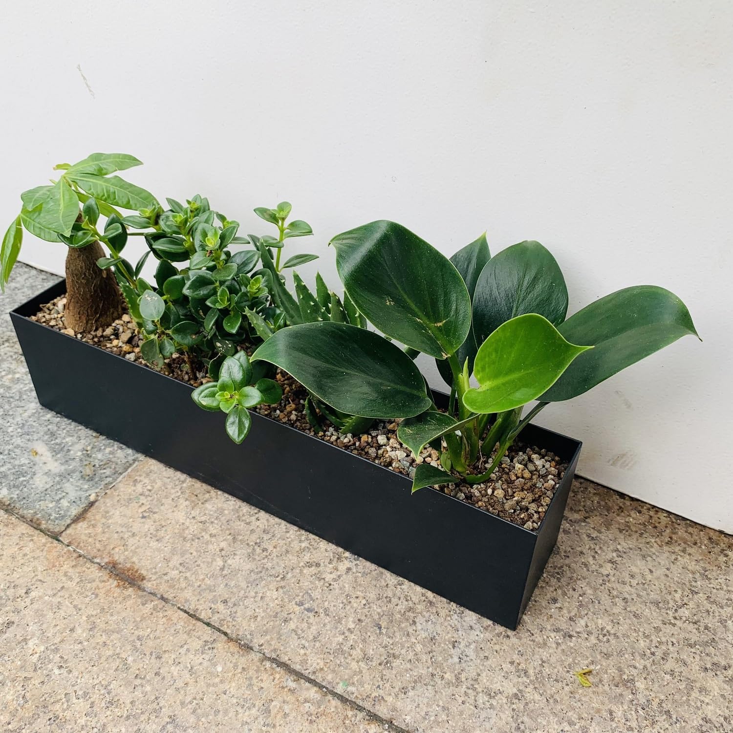 Metal Trough Planter Boxes
