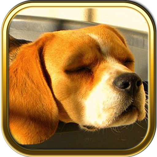 Beagle Dogs Jigsaw Puzzle Games - App on Amazon Appstore