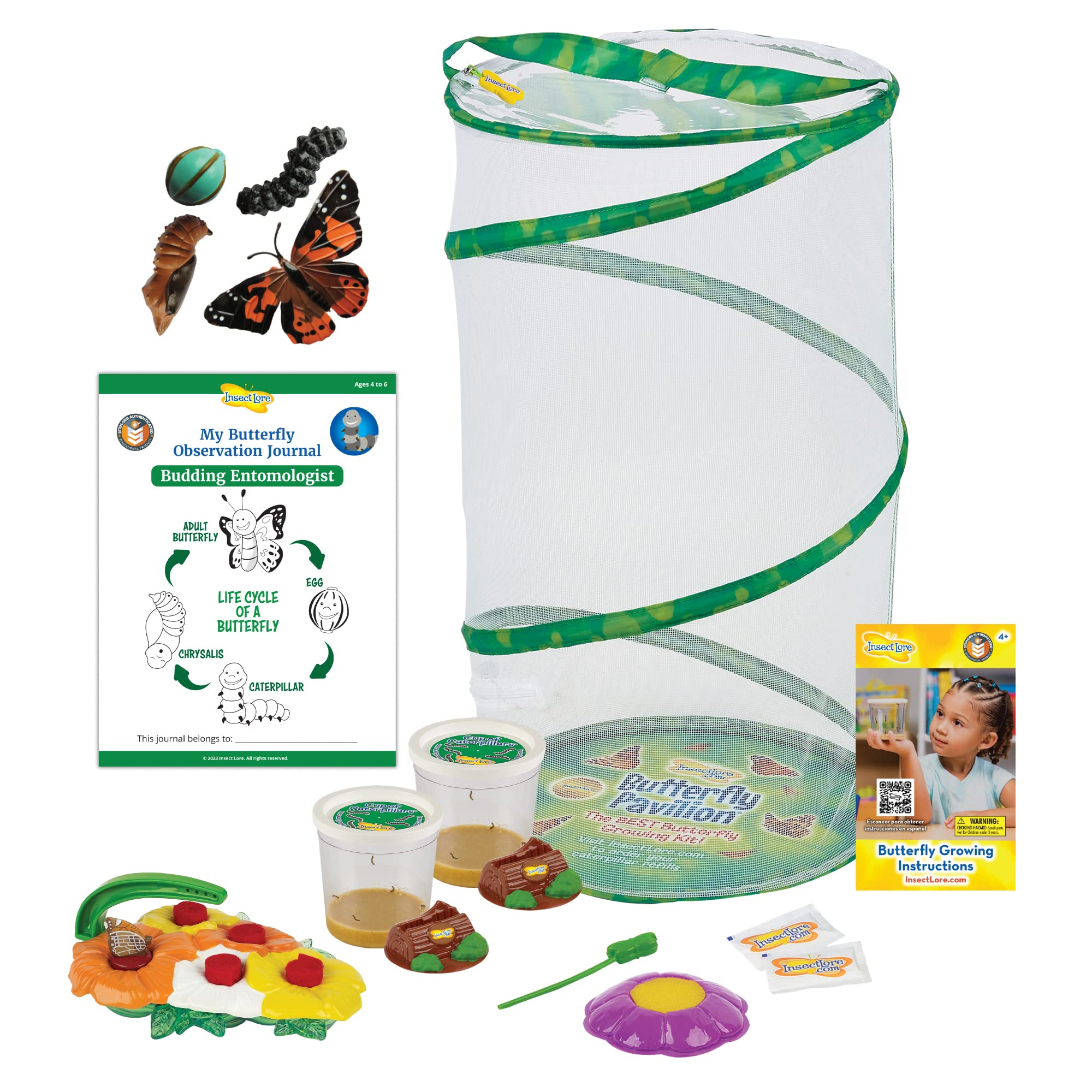 Buy Insect Lore Butterfly Pavilion with 2 Live Cups of Caterpillars ...