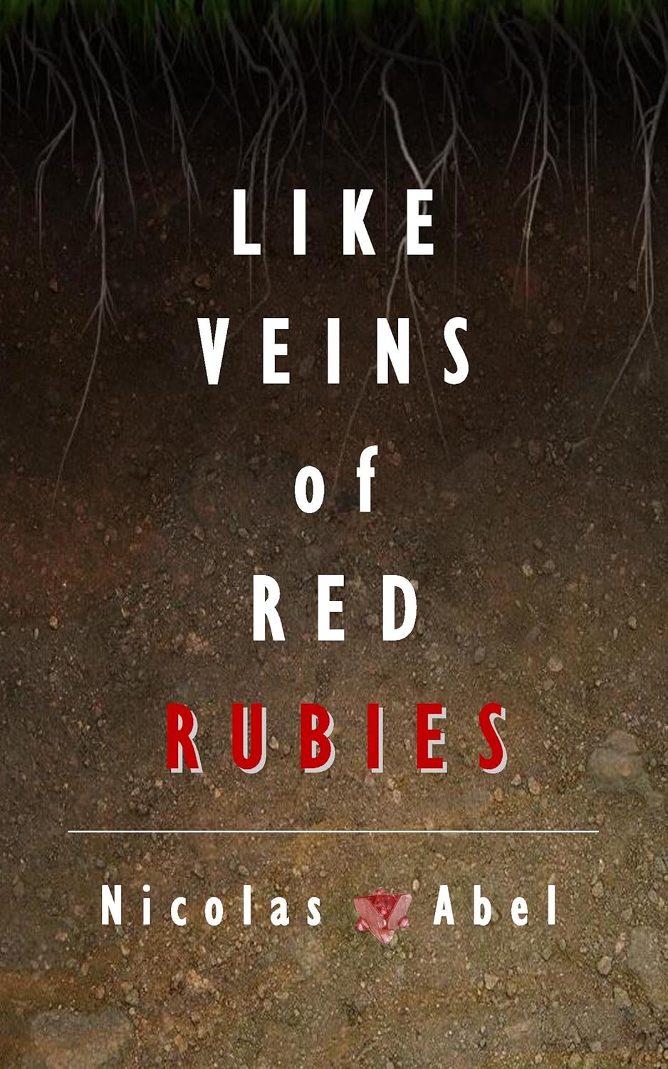 Amazon.com: Like Veins of Red Rubies (Most Precious Book 1) eBook ...