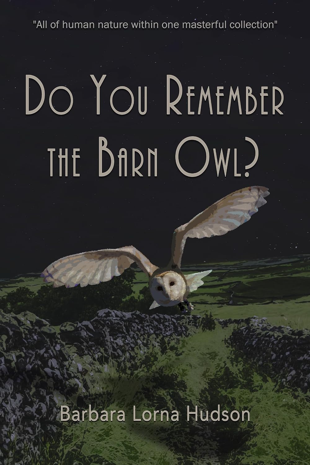 Do You Remember The Barn Owl? eBook : Hudson, Barbara Lorna: Amazon.co ...