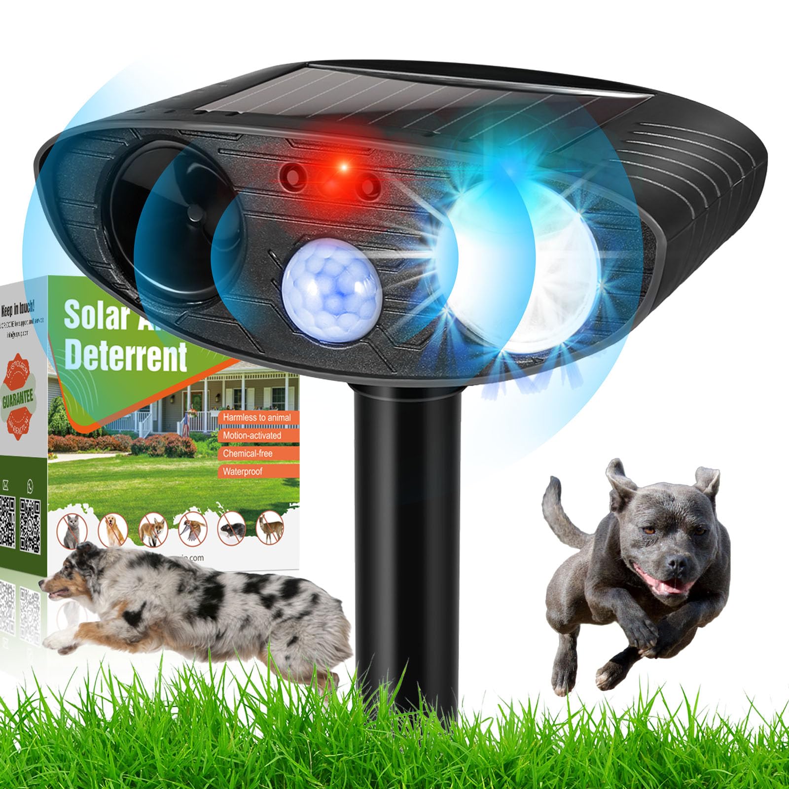 Ultrasonic Repeller, Sensor Animal Repeller, No Noise Pollution ...