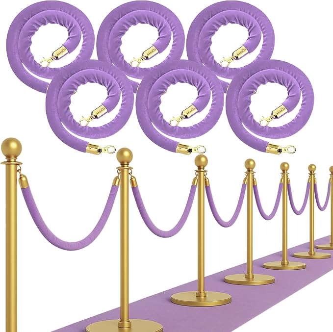 Amazon.com: 6PCS Light Purple Velvet Rope - 5FT Elegant Rope for ...