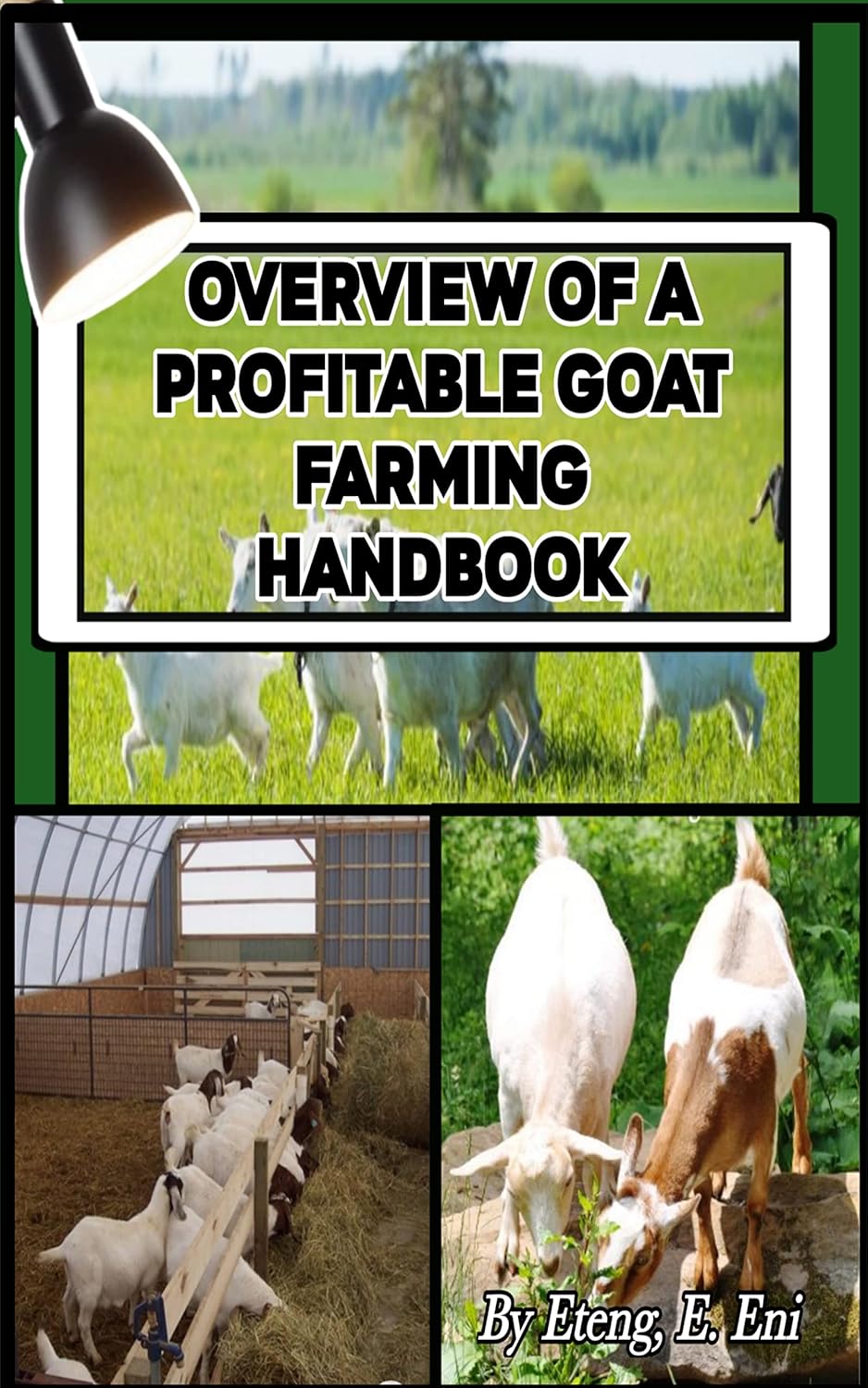 Amazon.com: OVERVIEW OF A PROFITABLE GOAT FARMING HANDBOOK eBook : Eni ...