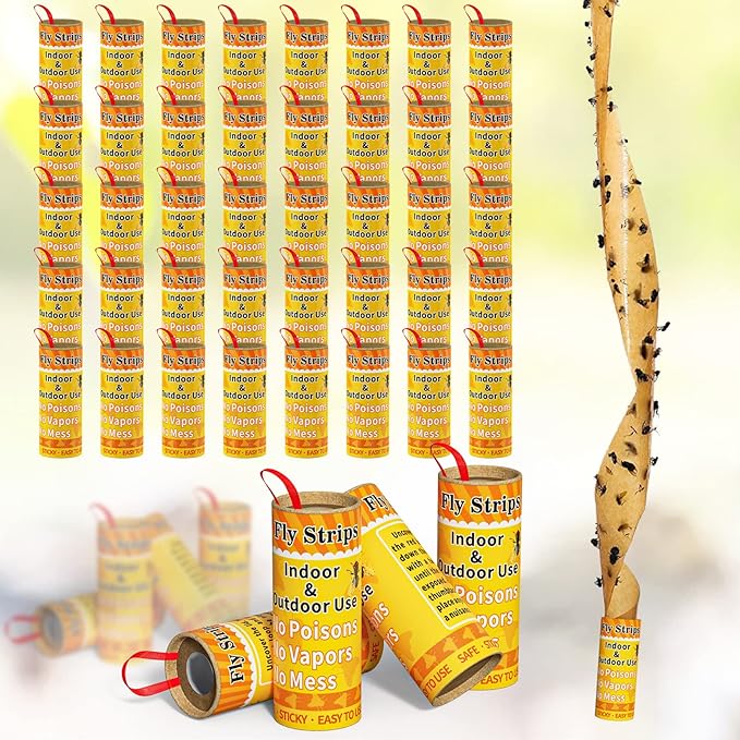 Amazon.com : Glovv 40 Pack Fly Trap, Fly Traps Outdoor, Fruit Fly Trap ...