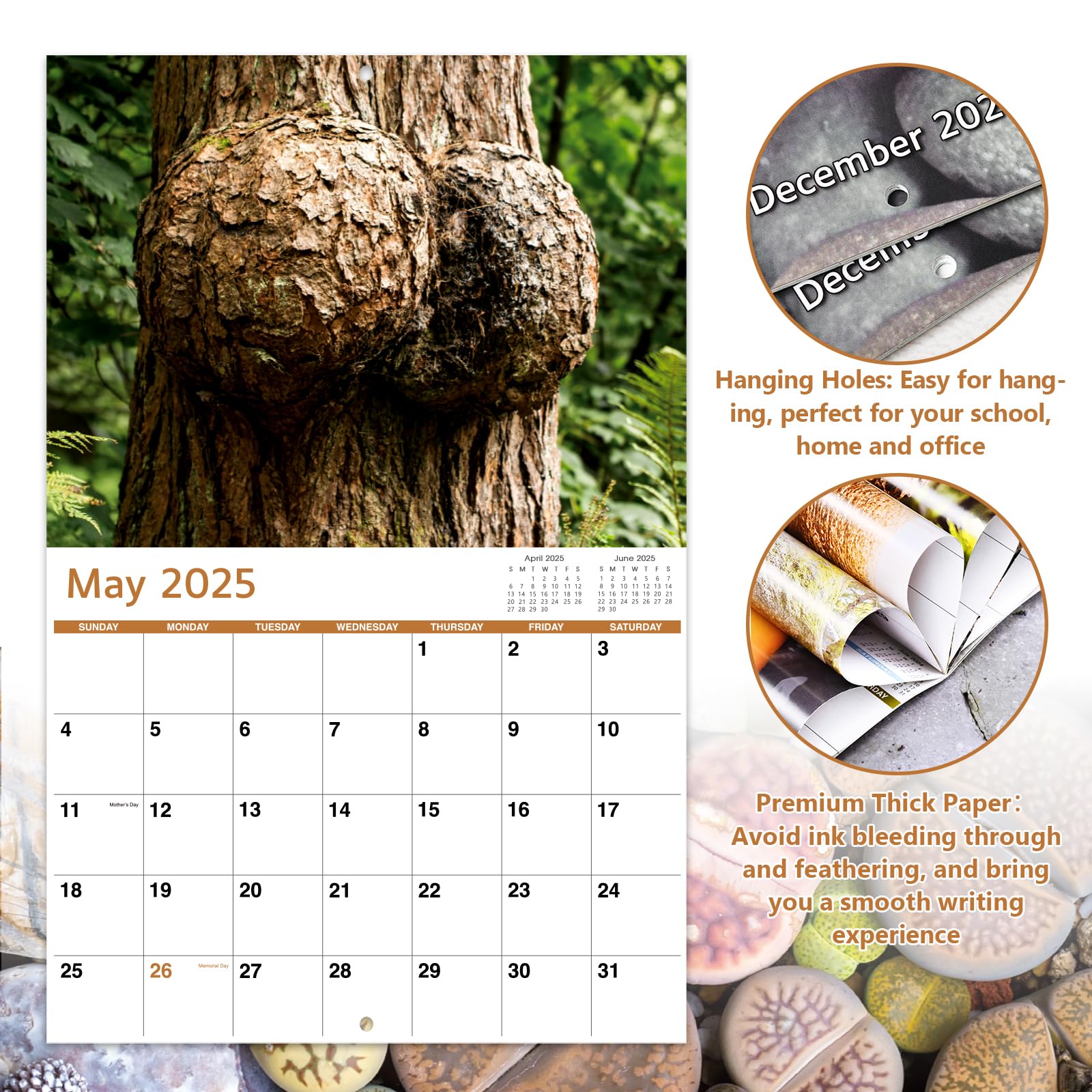 Snapklik.com : 2025 Calendar - Gag Gifts, Funny Calendar 2025, Jan 2025 ...