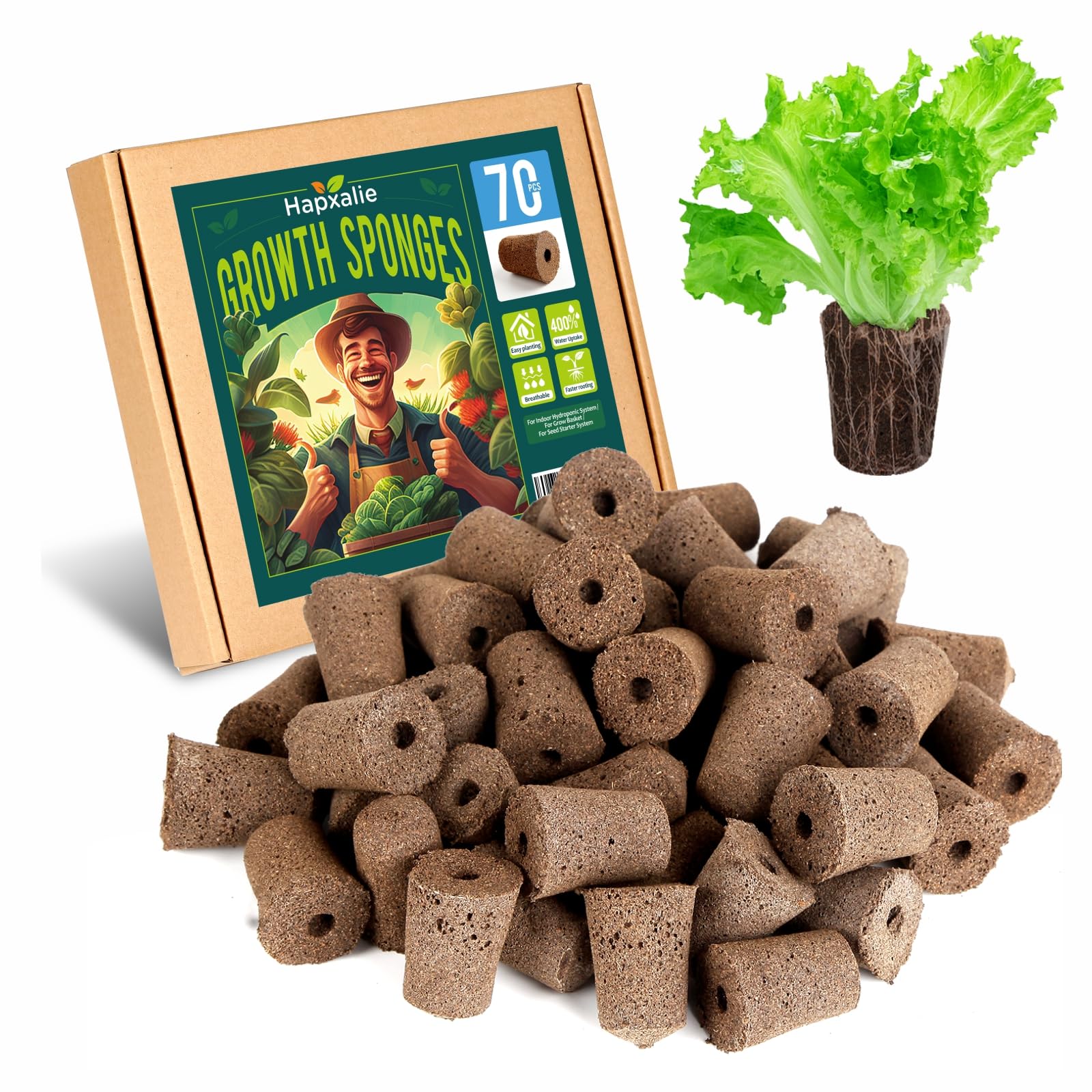 Amazon.com : 70 Pack Grow Sponges, Starter Plug for Seeds or Cuttings ...