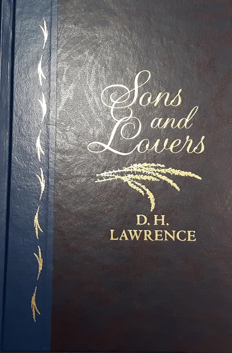 Sons and Lovers by D.H. Lawrence: D.H. Lawrence: 9781606521007: Amazon ...