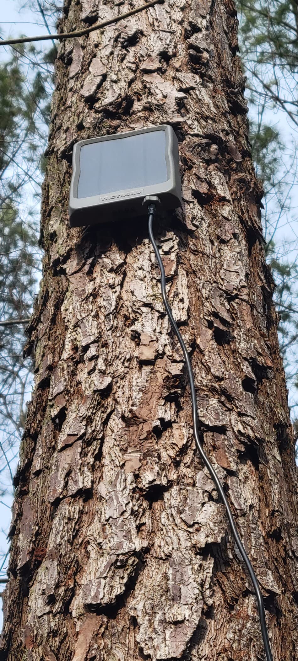 $10/mo - Finance TACTACAM Reveal Solar Panel for Reveal Cellular Trail ...