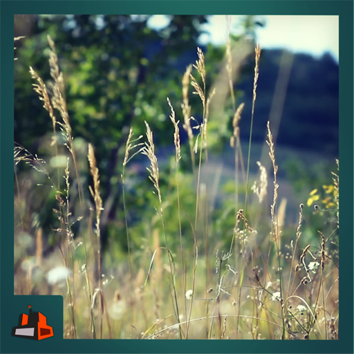 Windy Fields - View the Windy Fields - App on Amazon Appstore