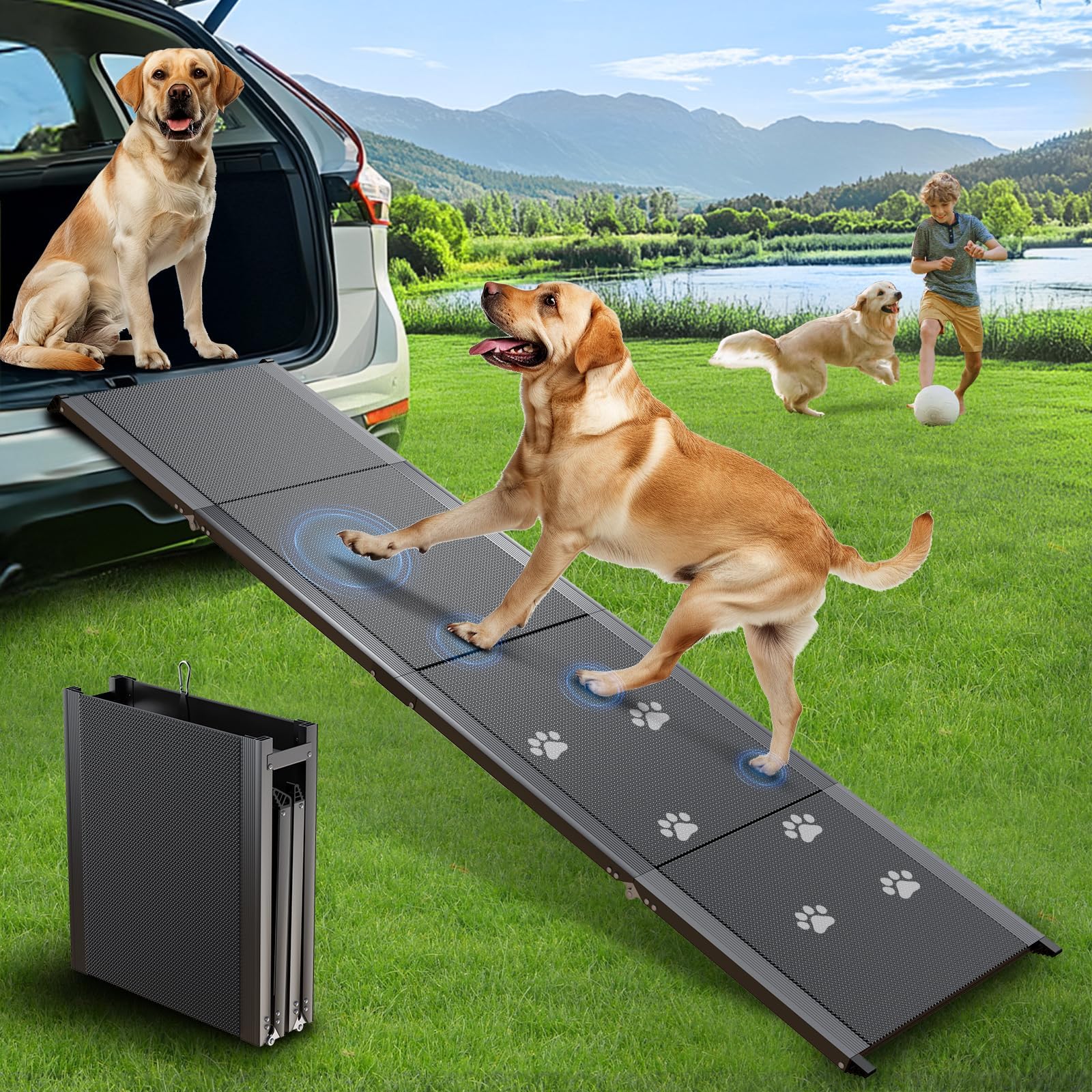 Amazon.com: Foldable Dog Pool Ramp with 33" Legs for Free Height ...