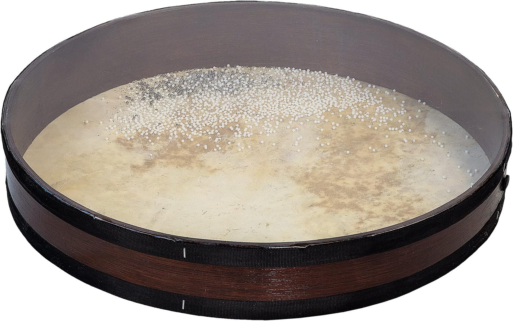 Amazon.com: Remo 16" Ocean Drum, Clear Head : Musical Instruments