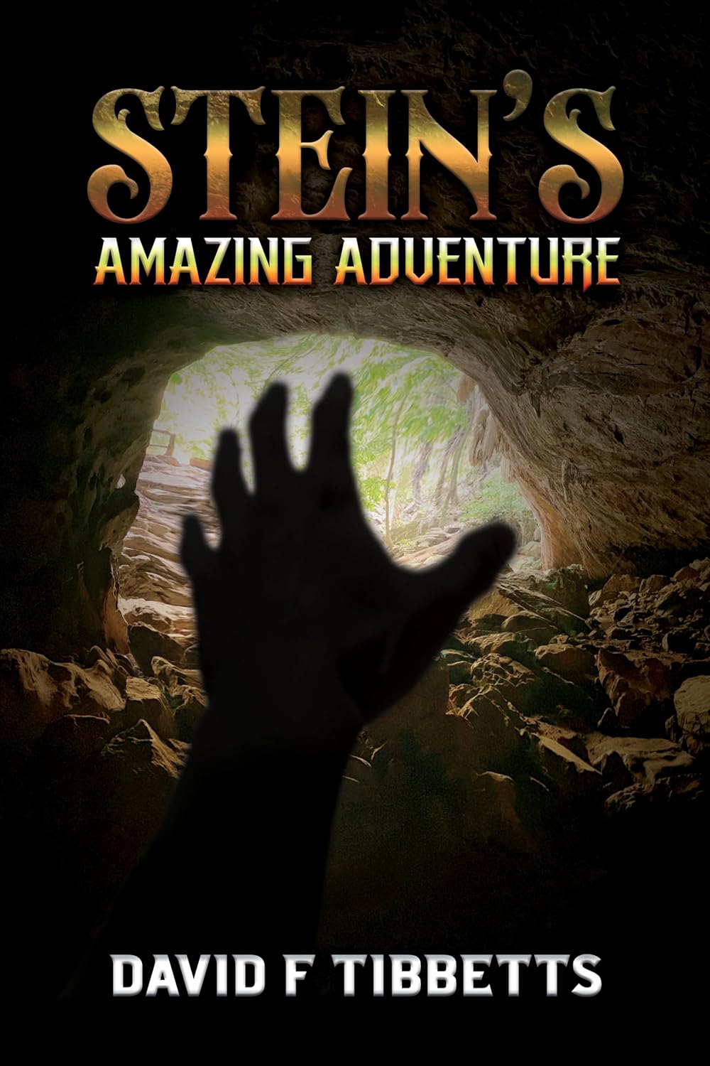 Amazon.com: Stein's Amazing Adventure eBook : Tibbetts, David, Tibbetts ...