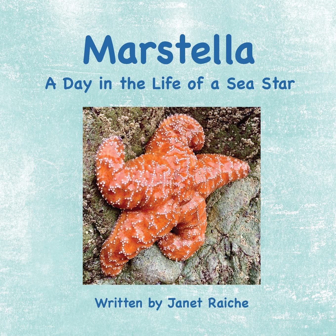 Marstella: A Day in the Life of a Sea Star: Raiche, Janet, Perper ...