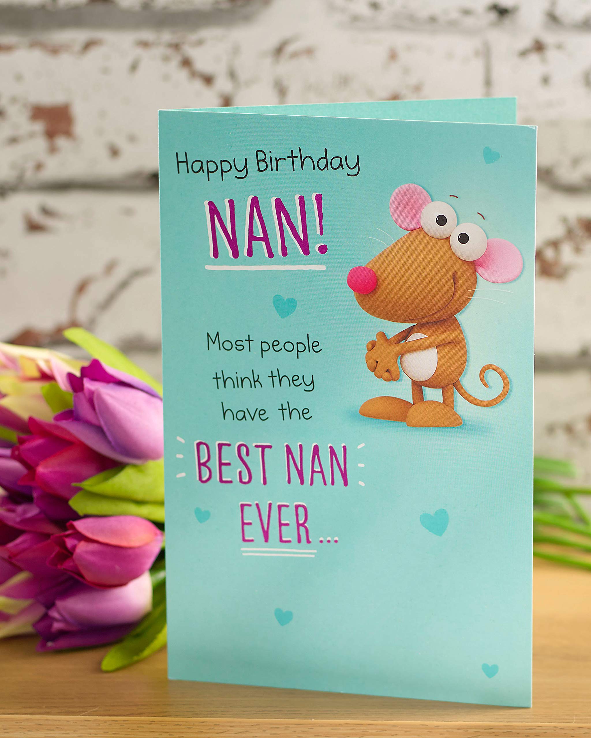 Happy Birthday Nan Memes