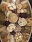 Amazon.com: Riceshoot 2 Pack Decorative Balls Potpourri Bowl Filler ...
