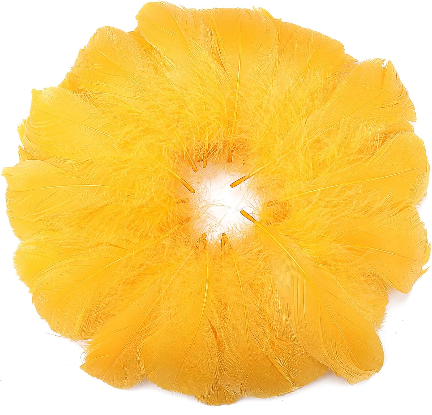 Amazon.com: THARAHT 360pcs Golden Yellow Feathers 3-5 inch Craft ...