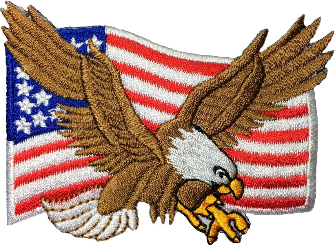 Amazon.com: Papapatch Bald Eagle with American US Flag Iron Sewing on ...