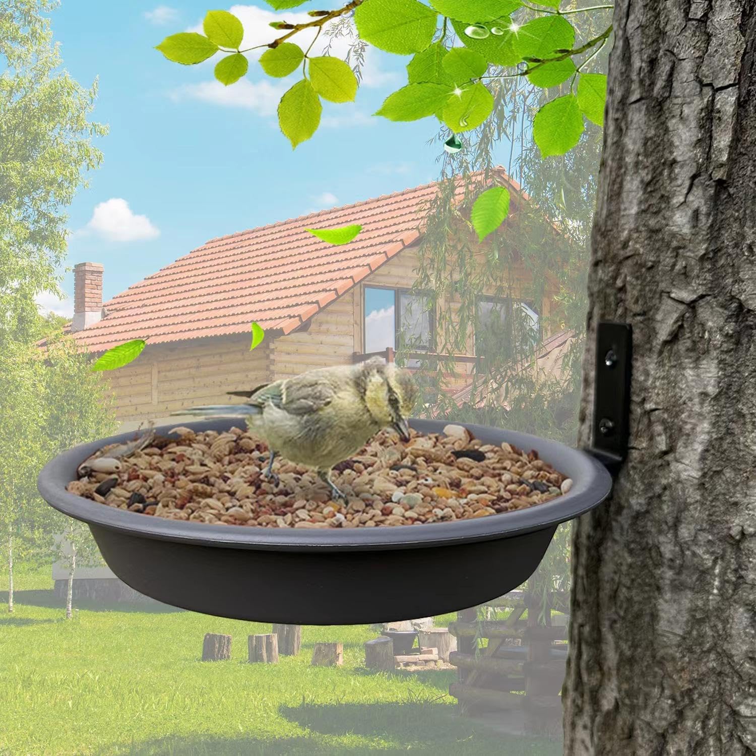 Amazon.com : AOXEXOB Bird Feeder Tree Mounted, 8" in Diameter Bird Bath ...