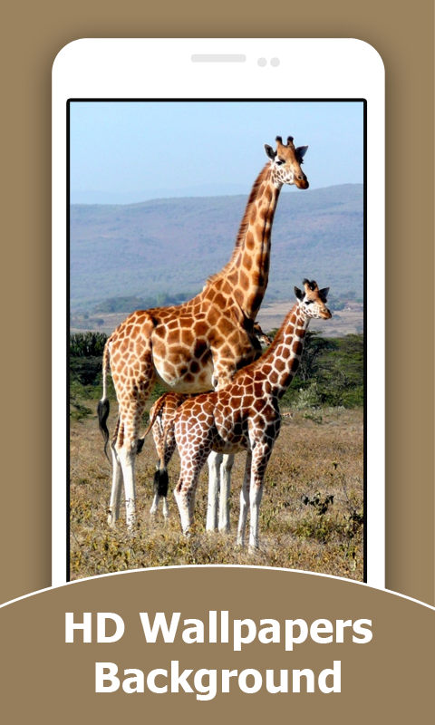 Giraffe Wallpapers - App on Amazon Appstore