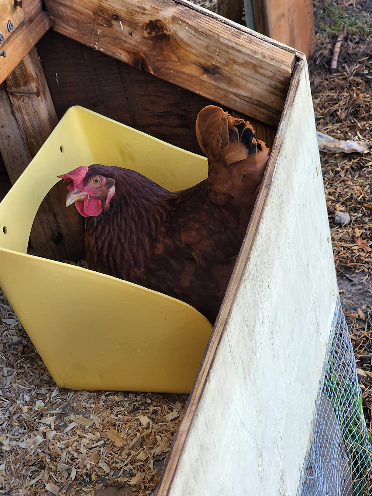 $8/mo - Finance Rite Farm Products 2 Pack Washable Poly Egg Nesting Box ...