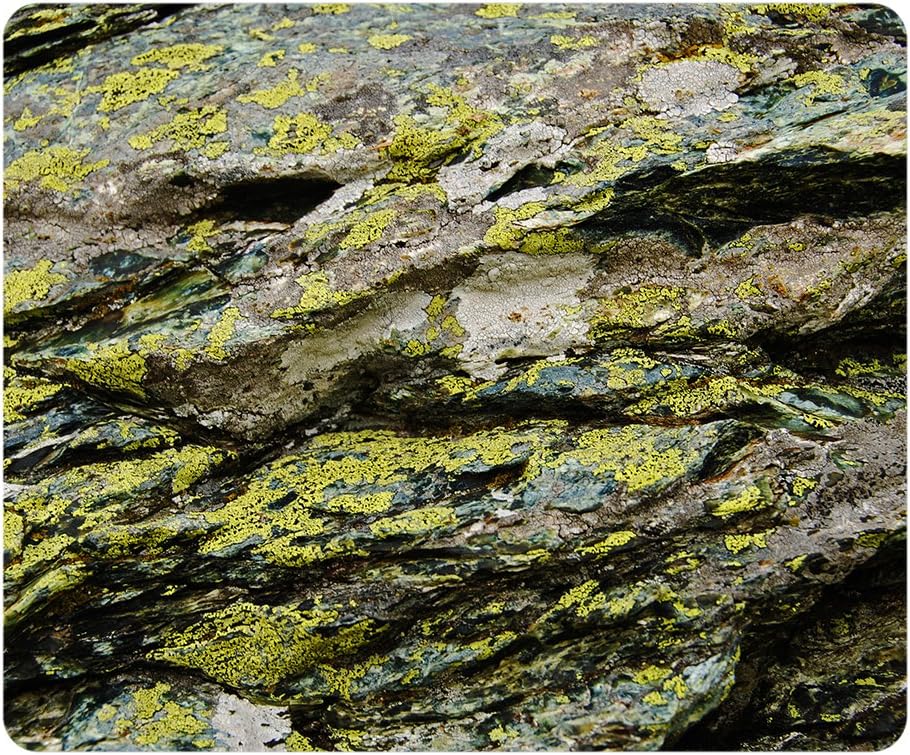 Amazon.com : Gaming Mouse Pad Oblong Shaped Mouse Mat 1677 lichen ...