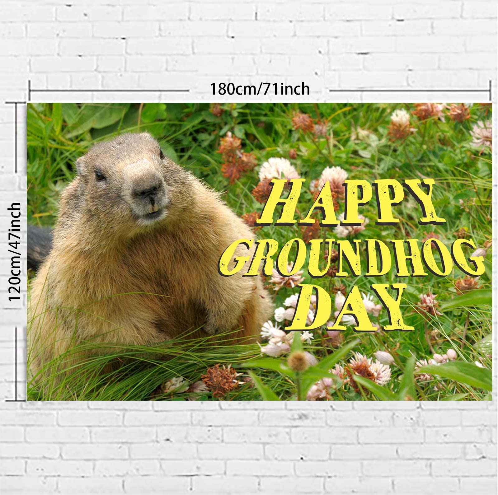 Happy Groundhog Day Banner