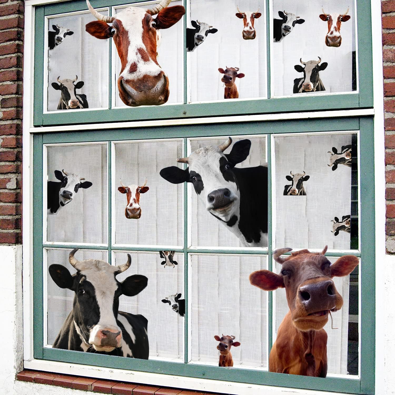 Amazon.com: Large 20PCS Funny Cow Decals Cow Window Stickers Peeking ...