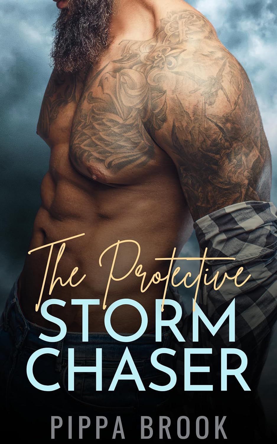 Amazon.com: The Protective Storm Chaser (Love in a Storm Book 4) eBook ...