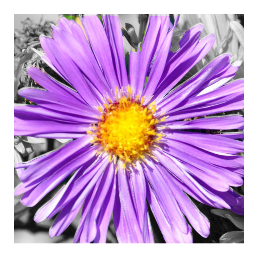 PhotoX - Application sur Amazon Appstore