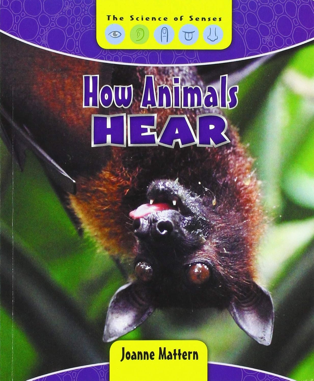 How Animals Hear (Science of Senses): Mattern, Joanne: 9781502642004 ...