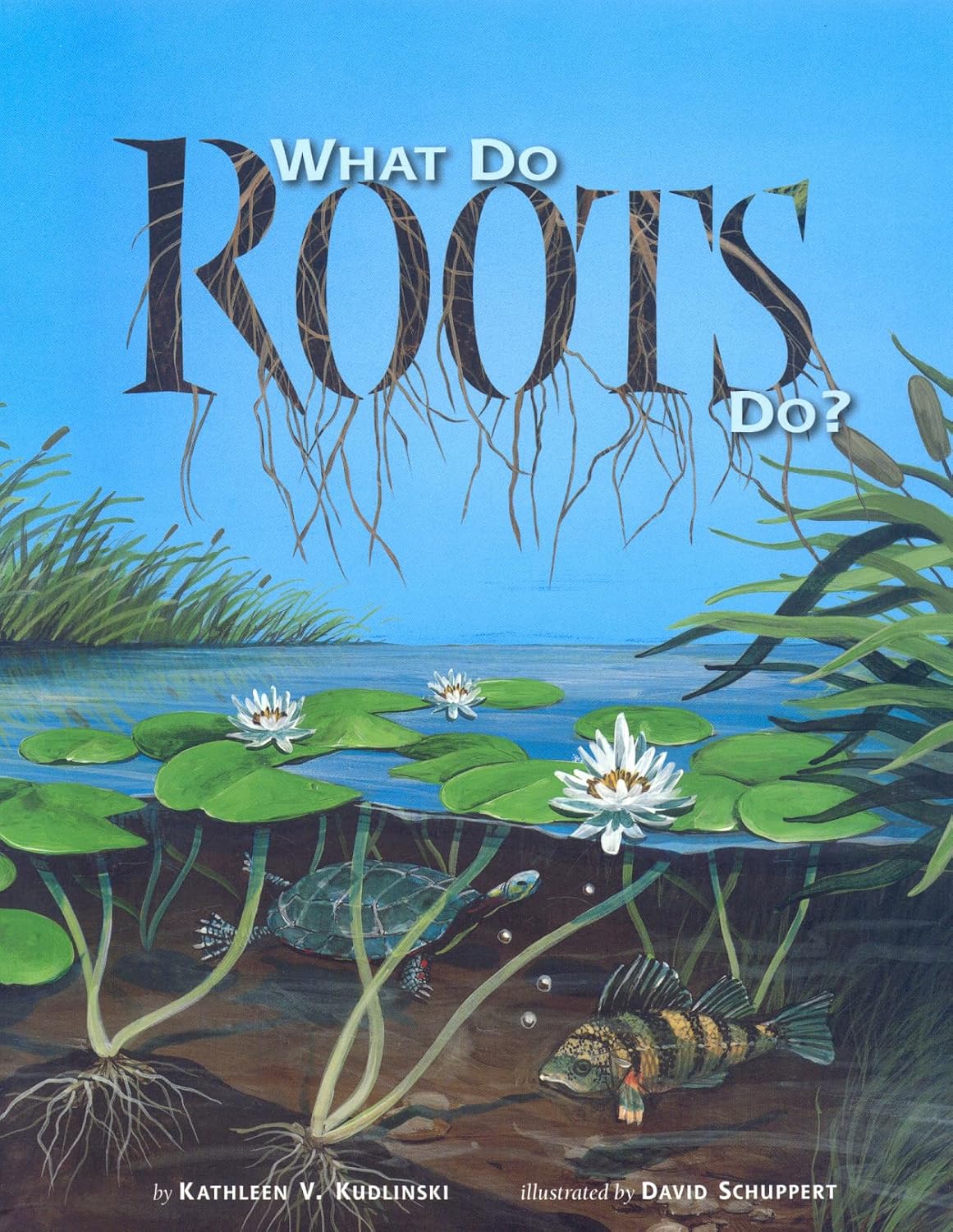 What Do Roots Do?: Kudlinski, Kathleen V.: 9781559718967: Amazon.com: Books