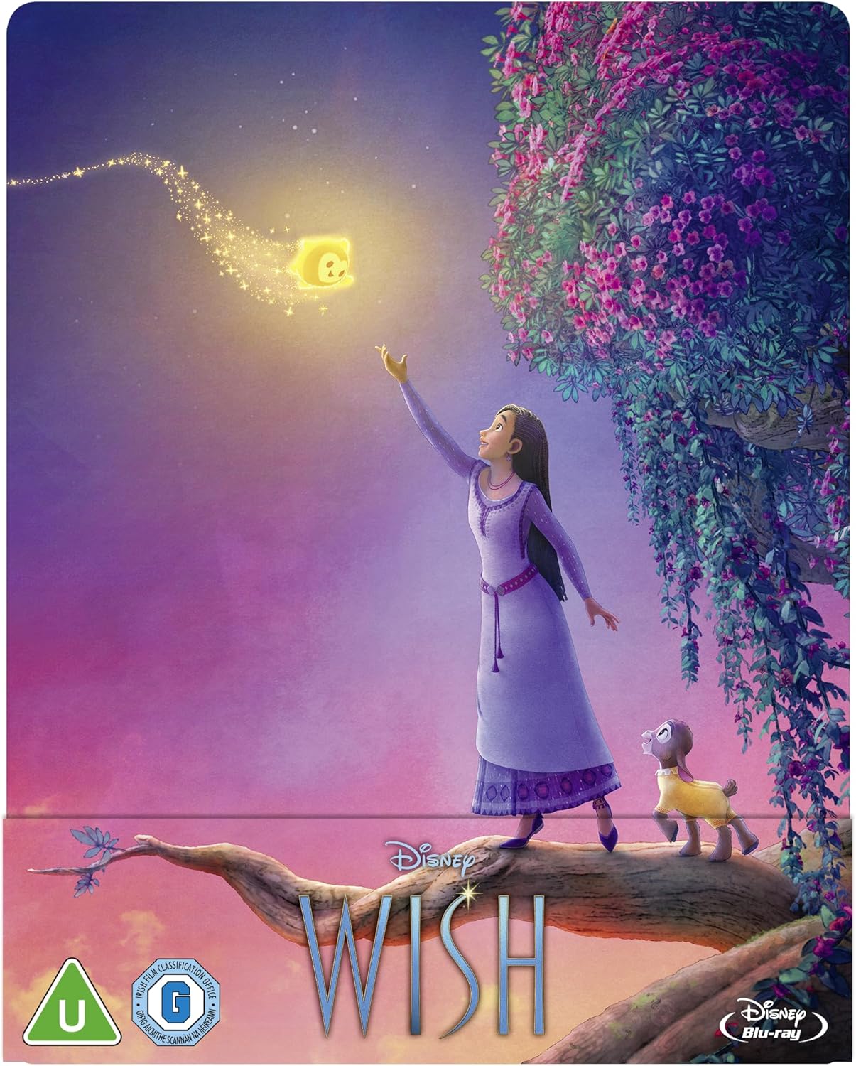 Disney's Wish Steelbook [Blu-ray] [Region Free]: Amazon.co.uk: Ariana ...