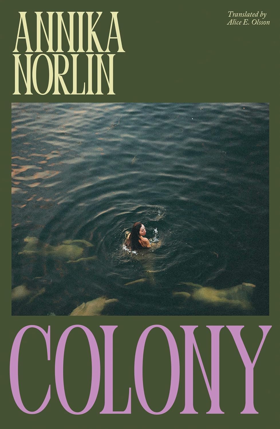Colony: Amazon.co.uk: Norlin, Annika, Olsson, Alice E.: 9781915590992 ...
