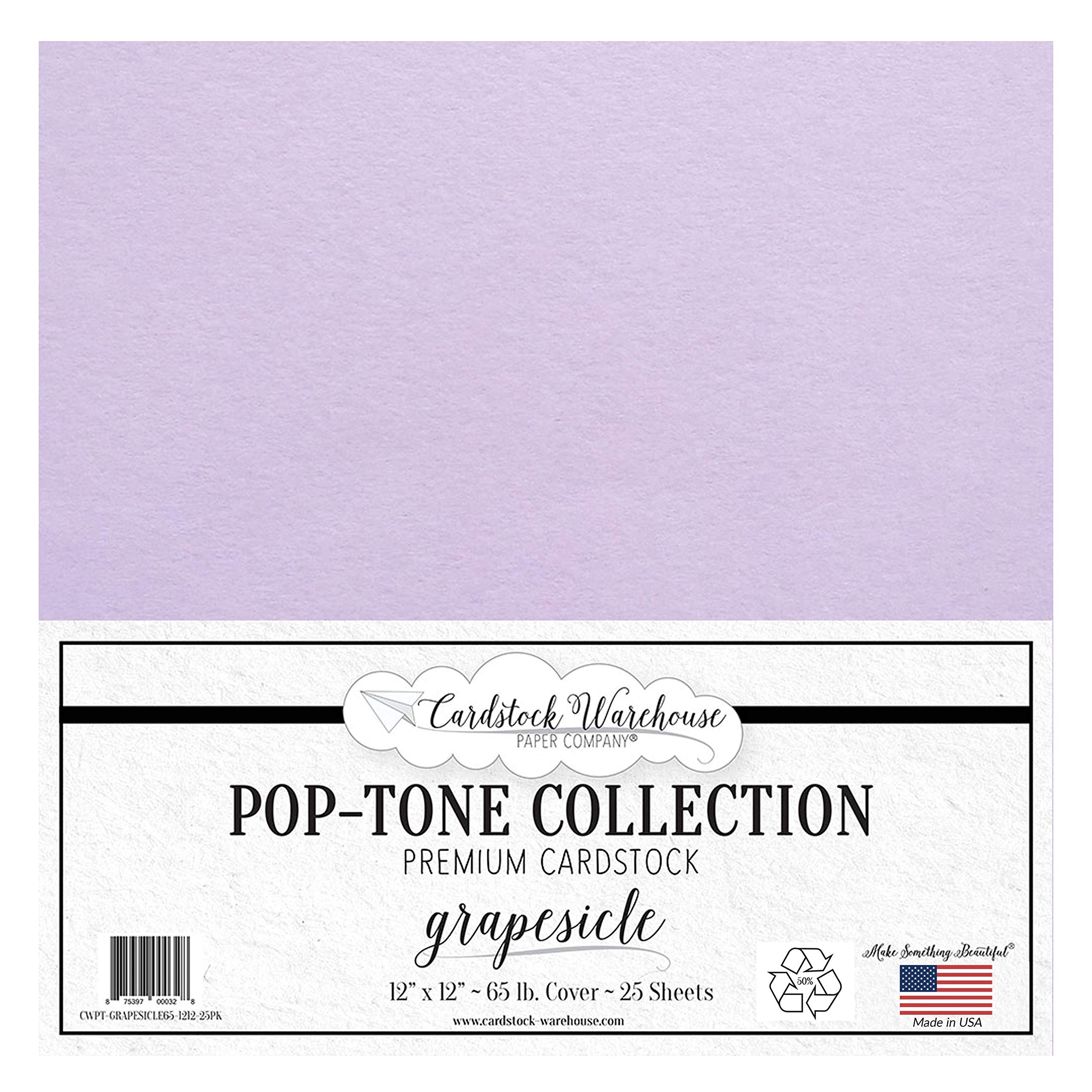 Amazon.com: Grapesicle/Lavender/Light Purple Cardstock Paper - 12 X 12 ...