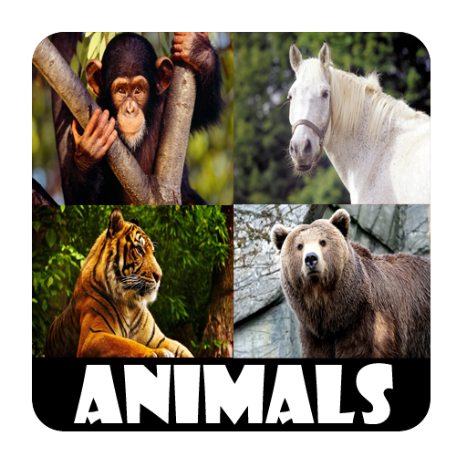Animal Sounds For Kids - App on Amazon Appstore
