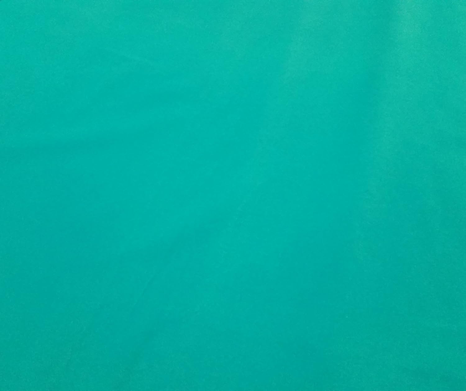 Amazon.com: Turquoise Flocked Velvet Fabric for Upholstery Craft ...