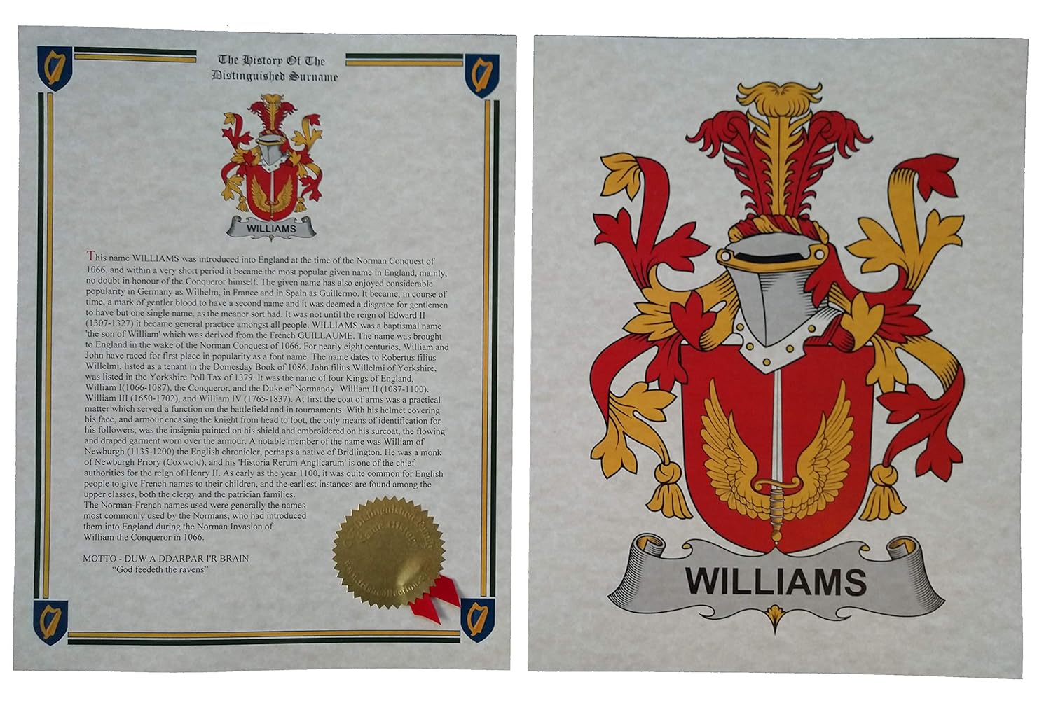 Amazon.com: Williams - Coat of Arms and Last Name History - 8.5x11 ...