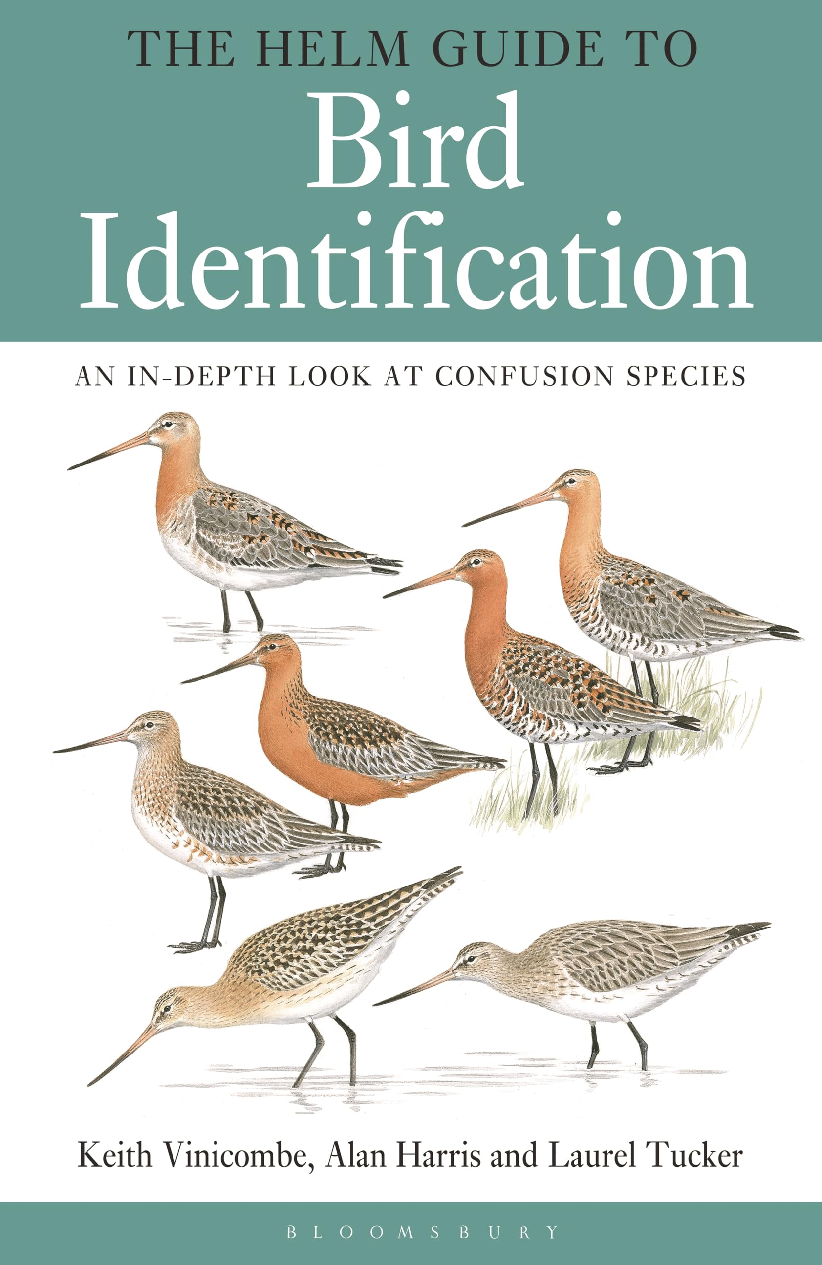 The Helm Guide to Bird Identification: An In-depth Look at Confusion ...