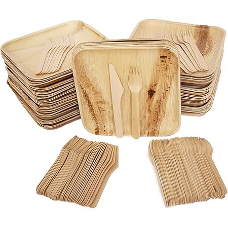 Amazon.com: Eco Only Disposable Rustic Plates Palm leaf plates10",7" 4. ...