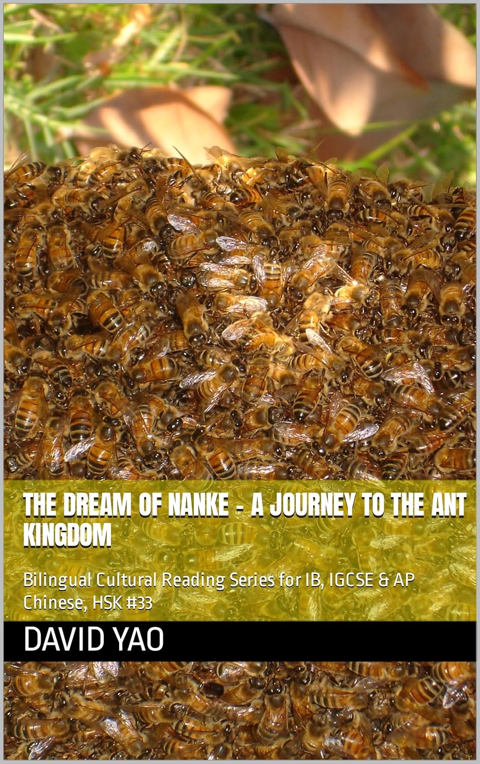 Amazon.com: The Dream of Nanke - A Journey to the Ant Kingdom 南柯一梦 ...