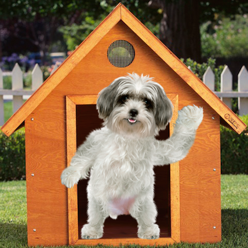 Real Talking Puppy - App on Amazon Appstore