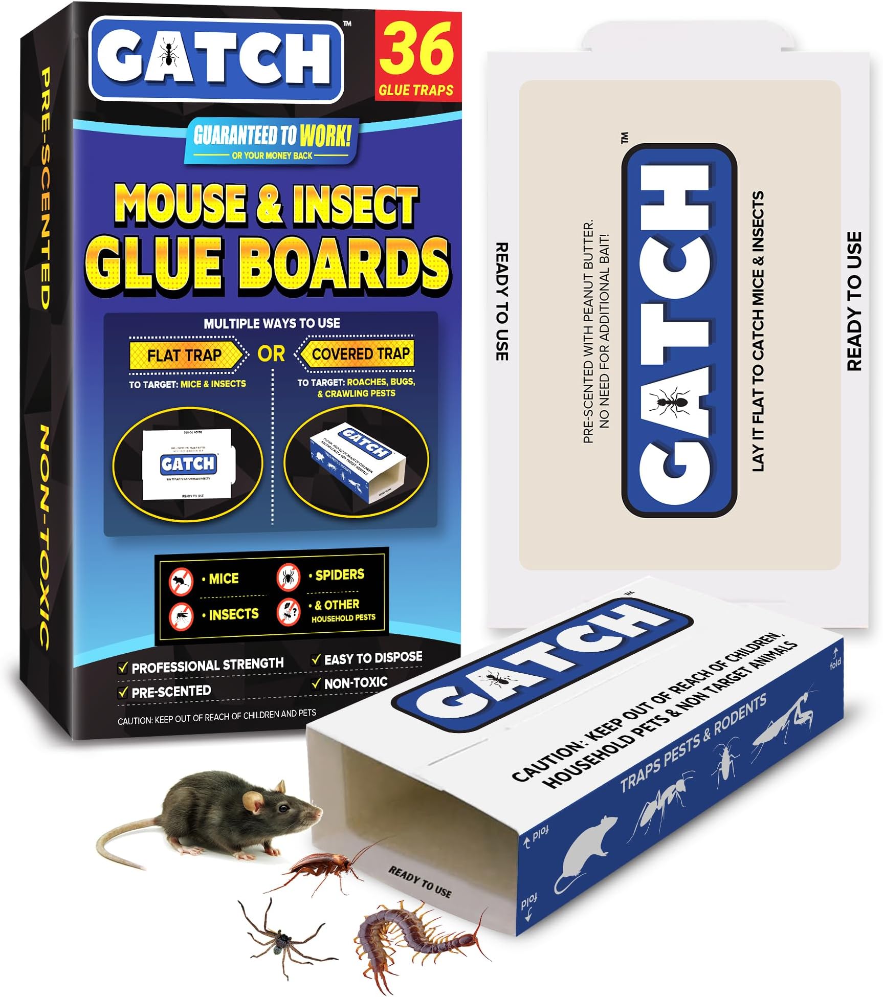 Amazon.com : Catchmaster Mouse & Pest Glue Board Bundle, 36 Glue Boards ...