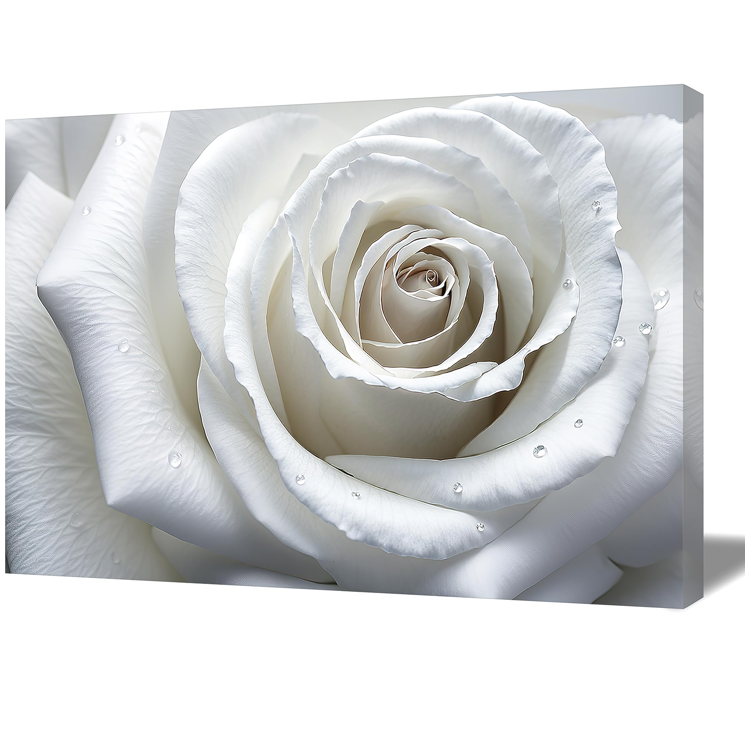 Amazon.com: QIXIANG White Rose Canvas Wall Art for Girls Room Decor ...