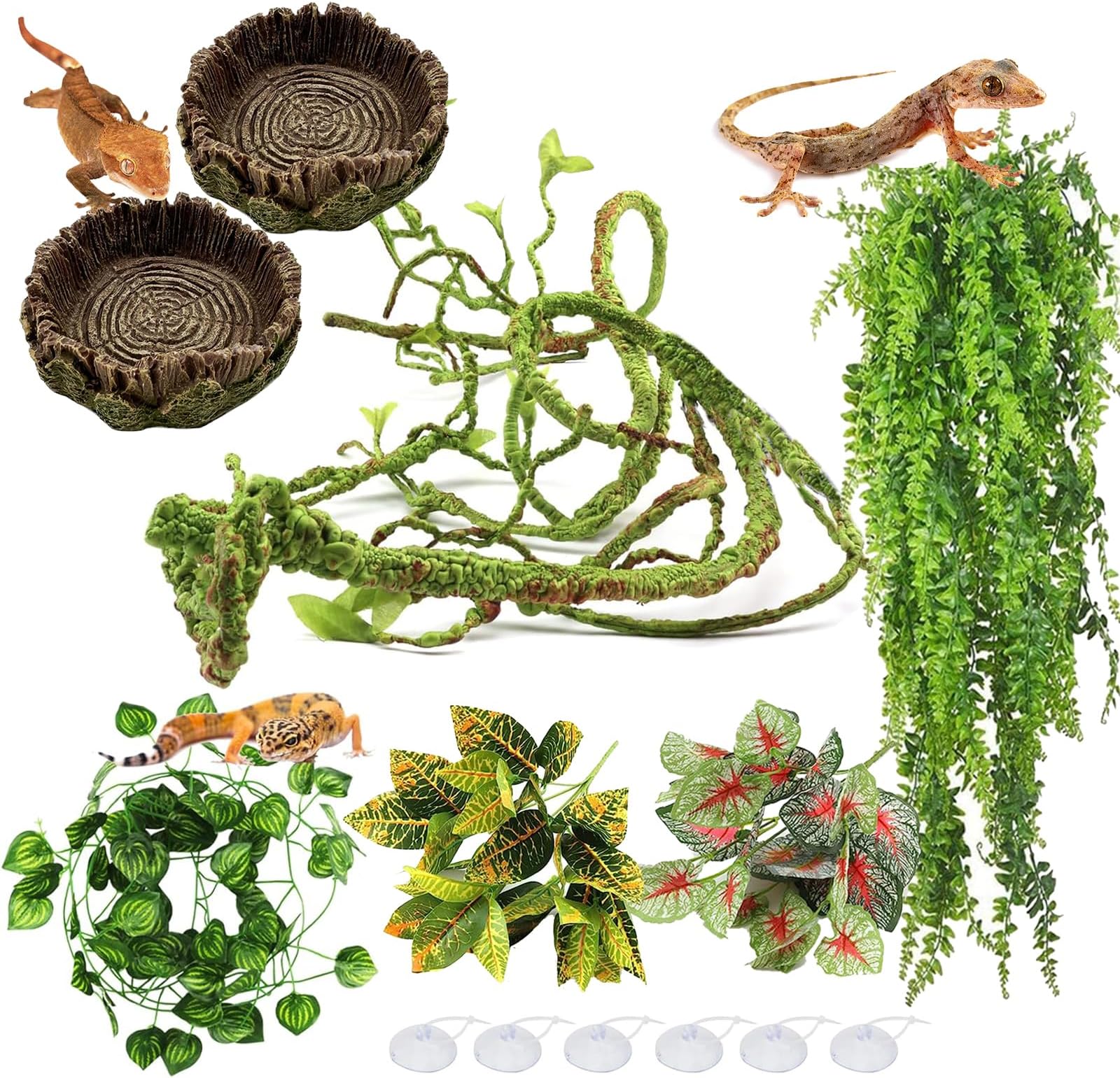 Amazon.com : FineCheer Leopard Gecko Tank Accessories Include ...