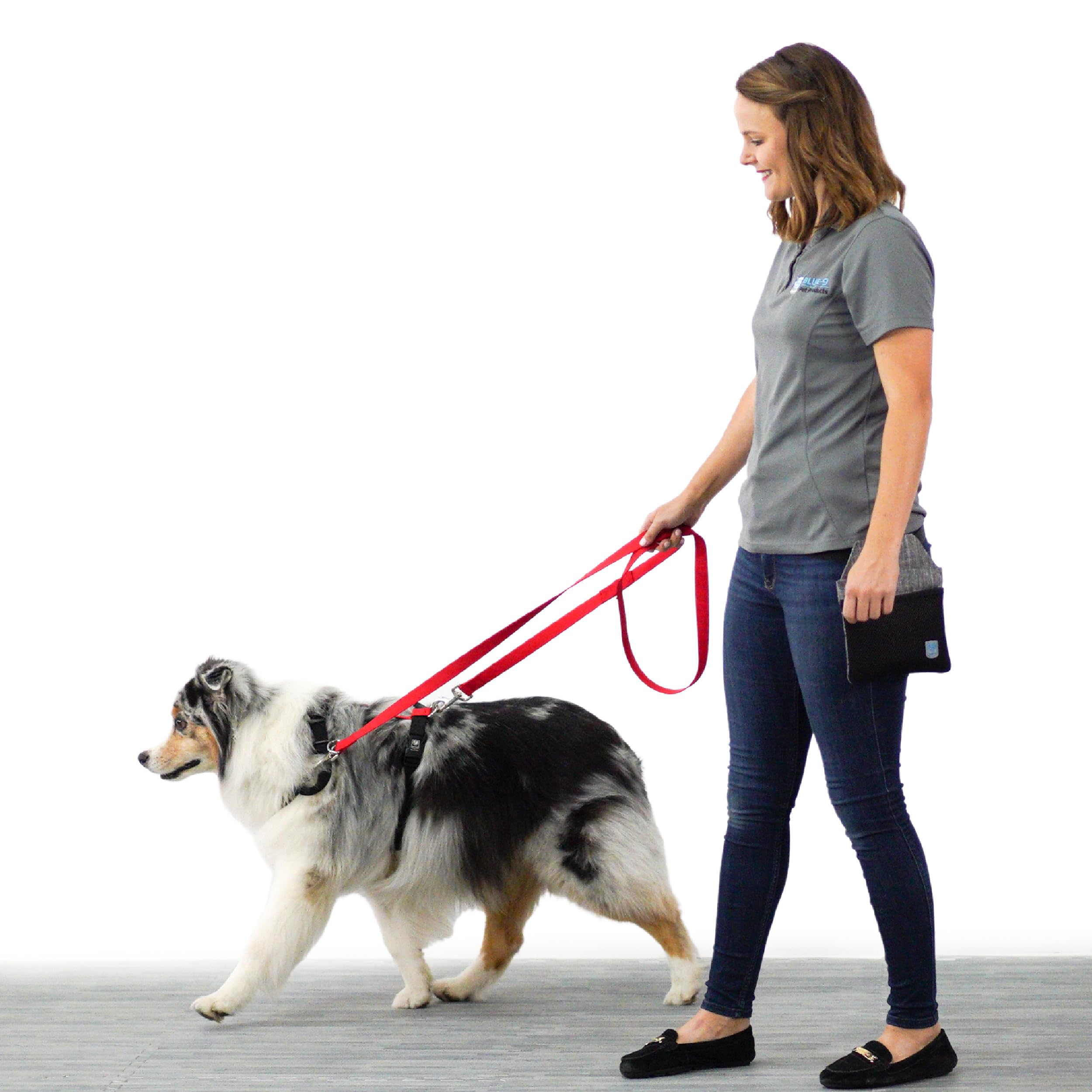 Snapklik.com : Multi-Function Hands Free Dog Leash, Double Attachment 6 ...