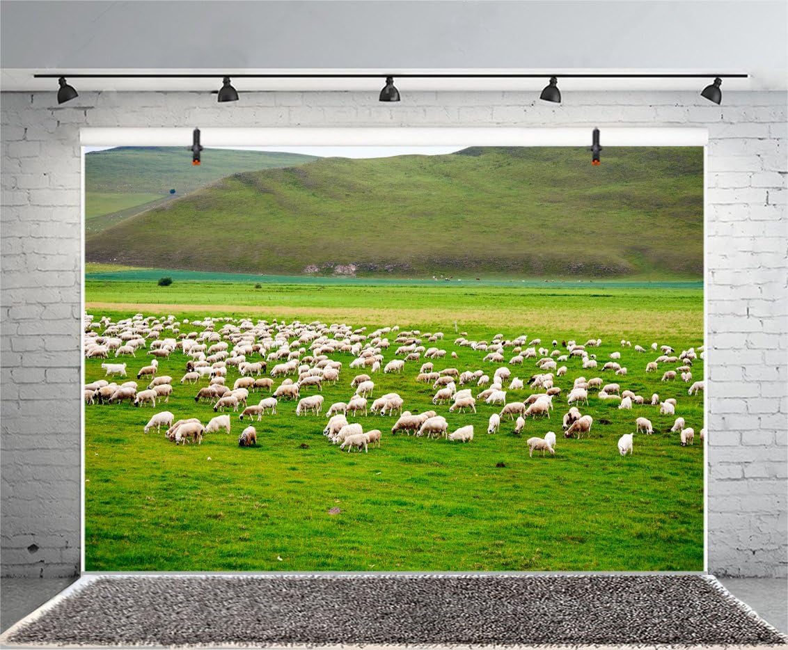 Amazon.com : Baocicco Green Prairie Flock of Sheep Backdrop 10x8ft ...