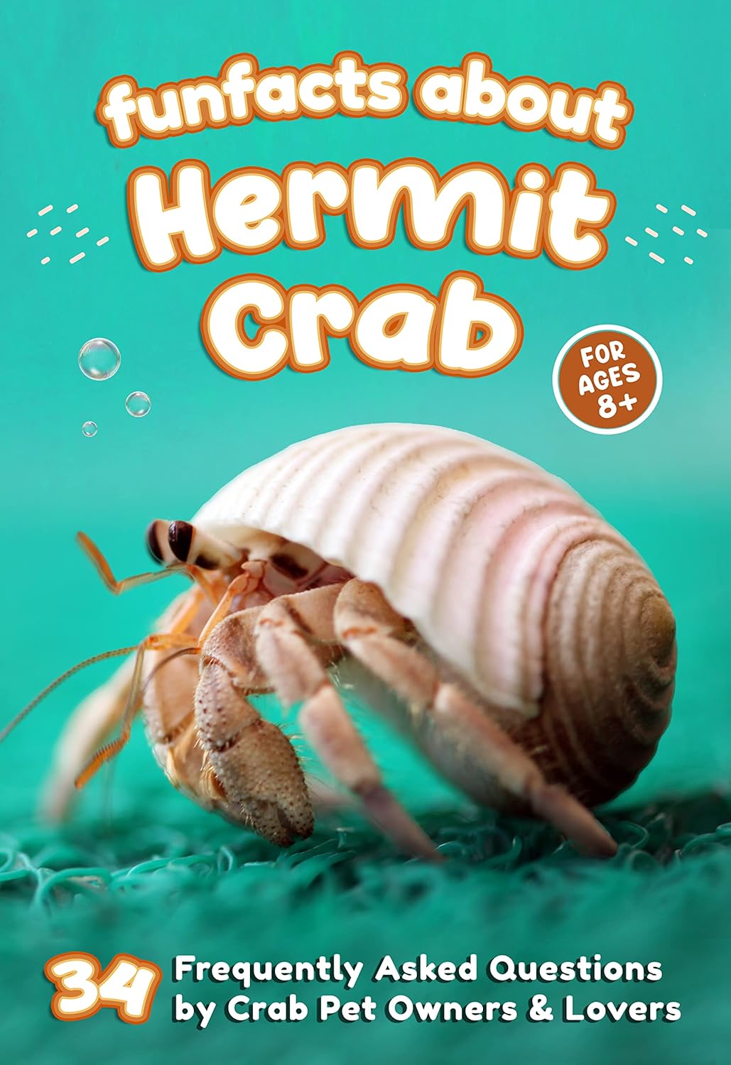 Fun Facts About Hermit Crab: 34 Frequently Asked Questions by Crab Pet ...