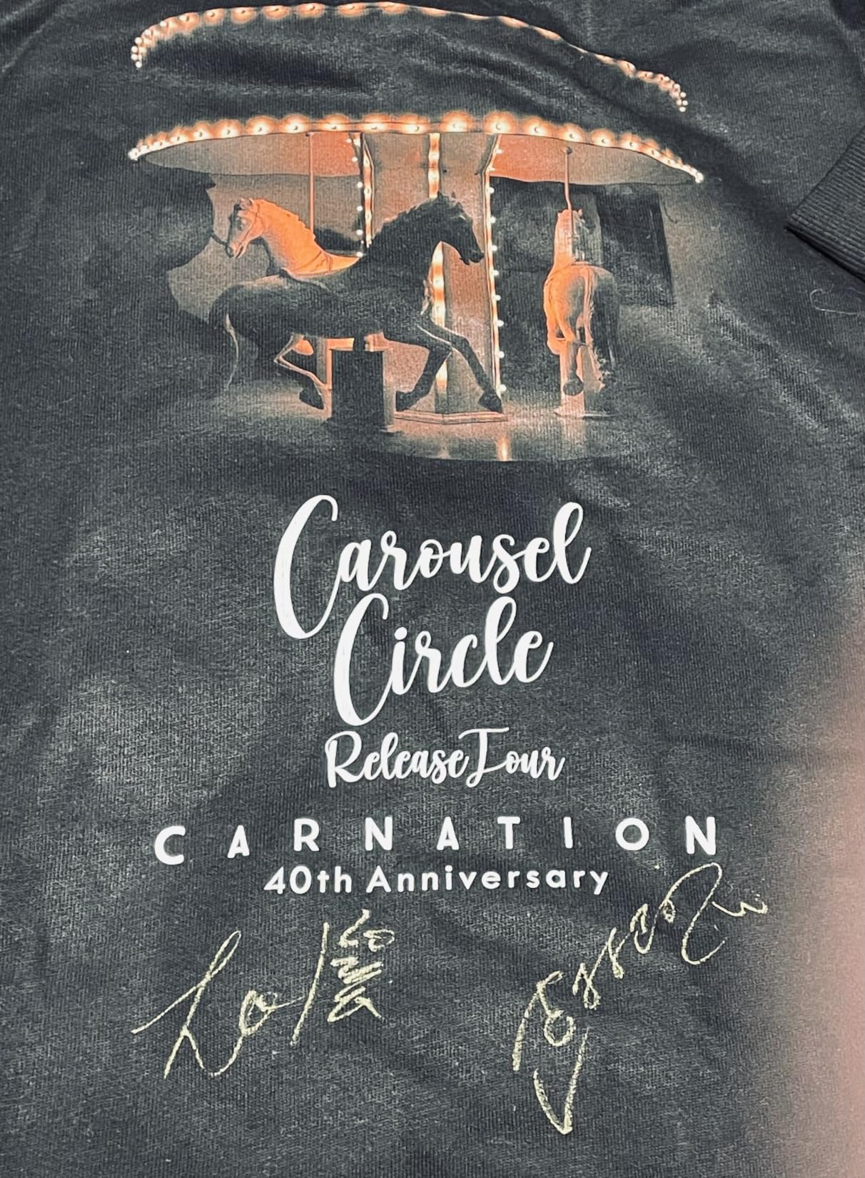 Amazon.co.jp: Carousel Circle(通常盤) - カーネーション: ミュージック