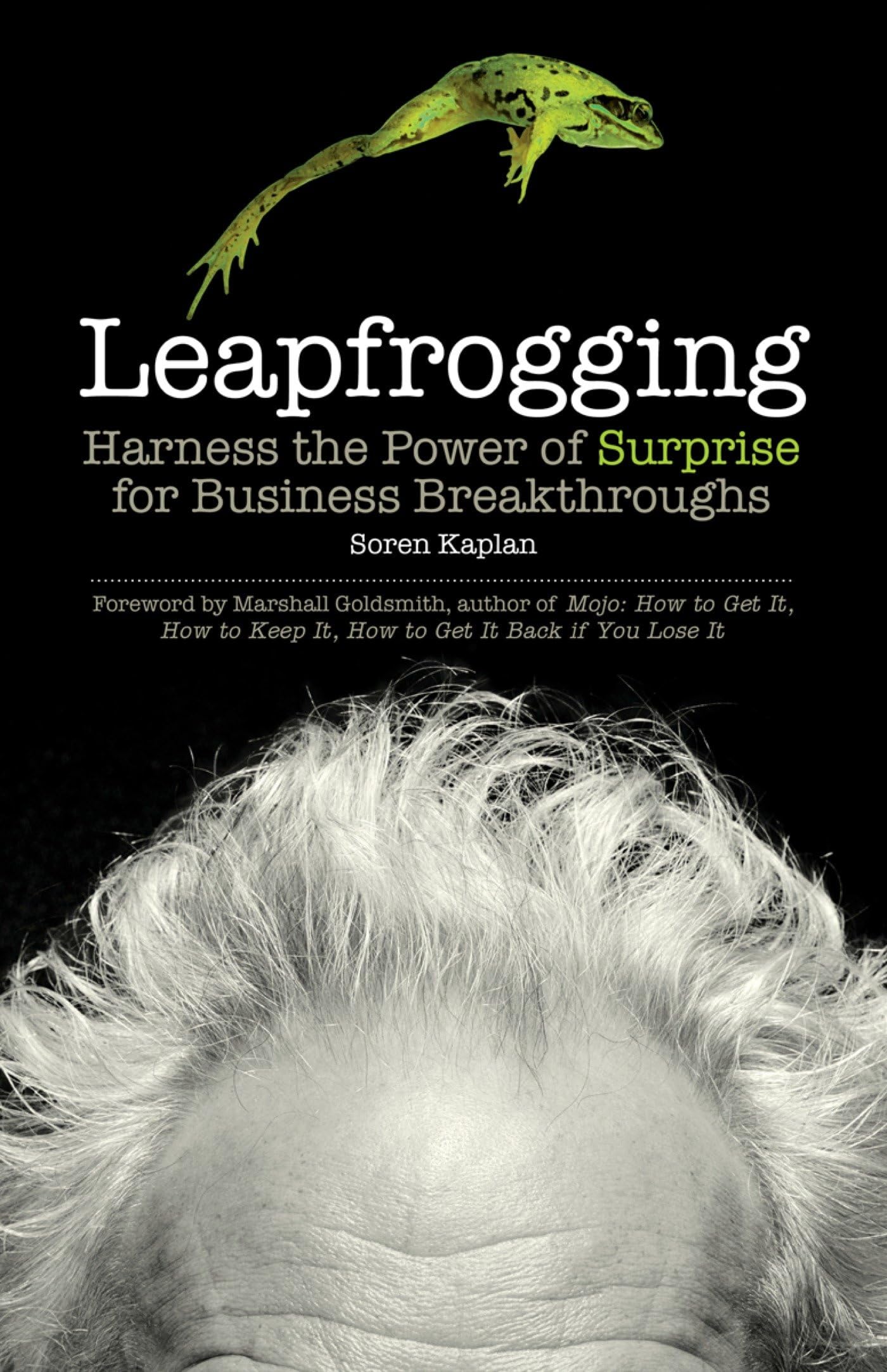 Leapfrogging: Harness the Power of Surprise for Business Breakthroughs ...